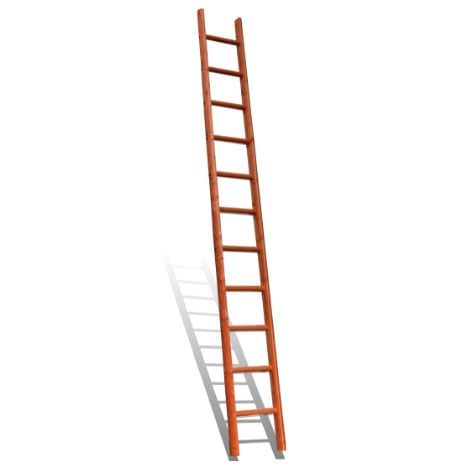 5m Timber Pole Ladder | A7PT50 – Ladderstore UK